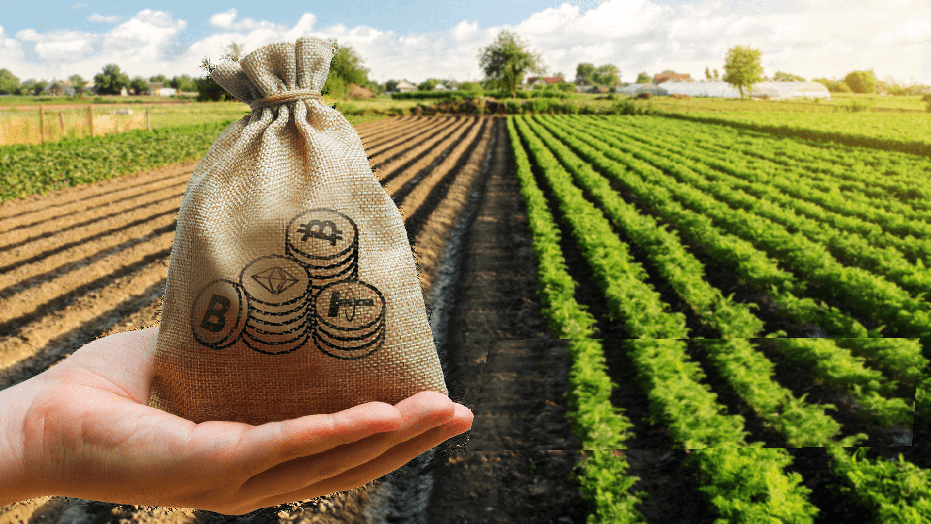 How Liquidity Pools Enhance Yield Farming — BTSE Blog How Liquidity Pools Enhance Yield Farming — BTSE Blog